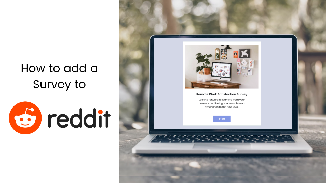 Reddit Survey – How to Run a Free Survey on Reddit