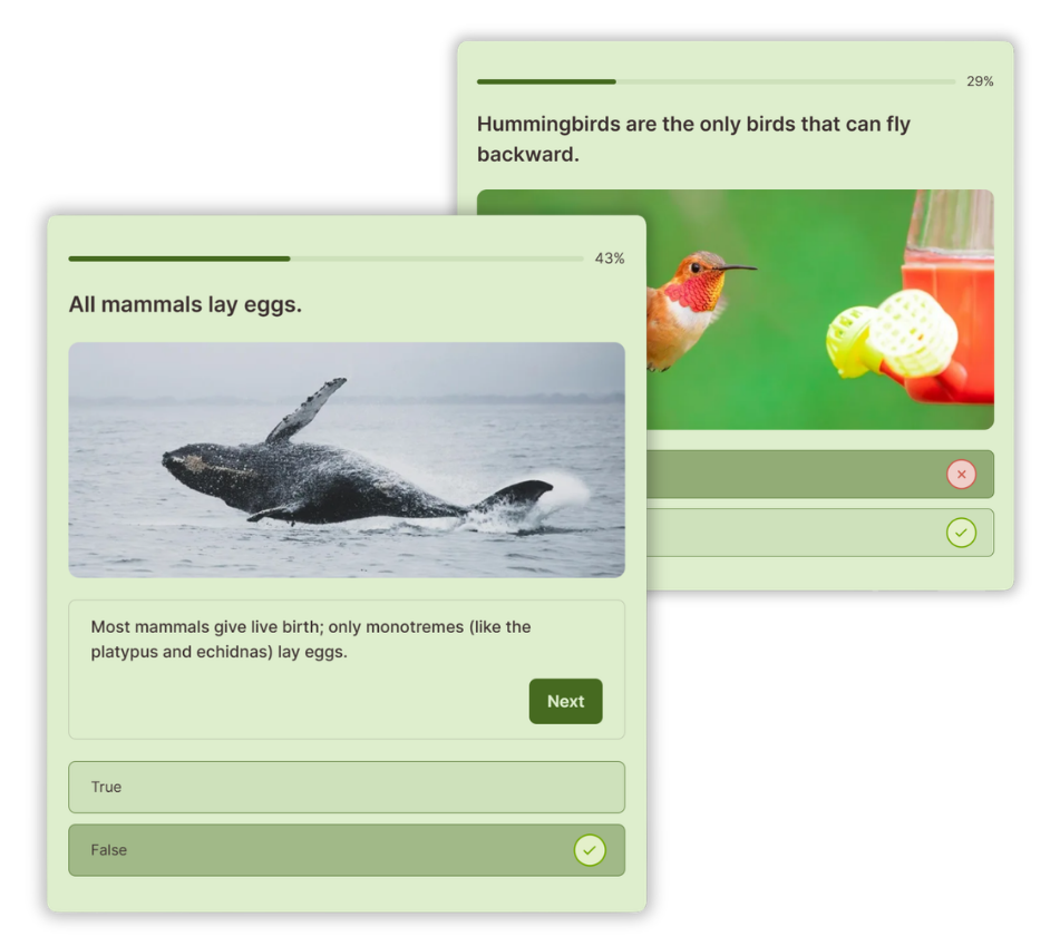 Create a True or False Quiz Online for Free | Opinion Stage